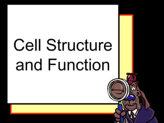 CHAPTER 2: CELL STRUCTURE | PPT