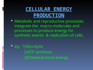 CELLULAR PROCESSES and characteristics.ppt
