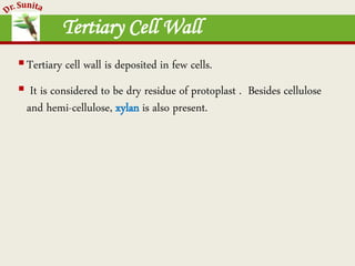 1cell wall.pptx