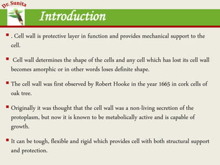 1cell wall.pptx