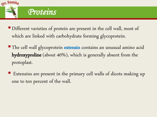1cell wall.pptx