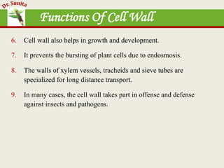 1cell wall.pptx
