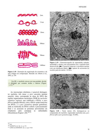 1 celula | PDF