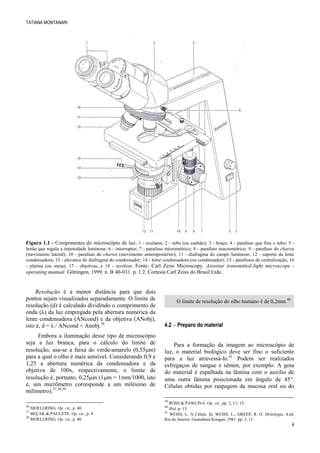 1Celula.pdf