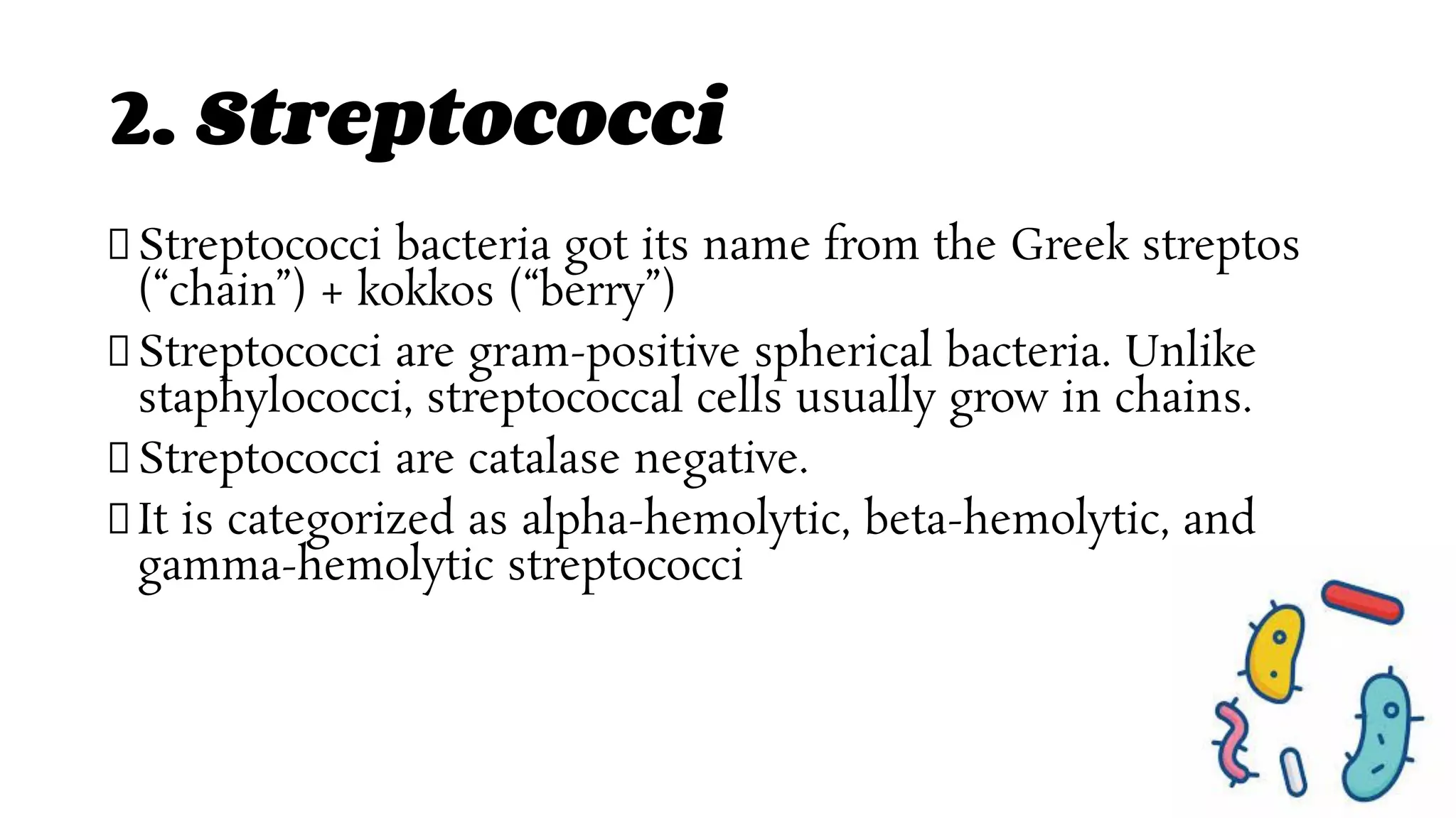 Cocci Bacteria | PDF