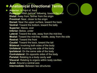 1Chap1.0IntroBio.ppt chapter 1 biologi spm | PPT