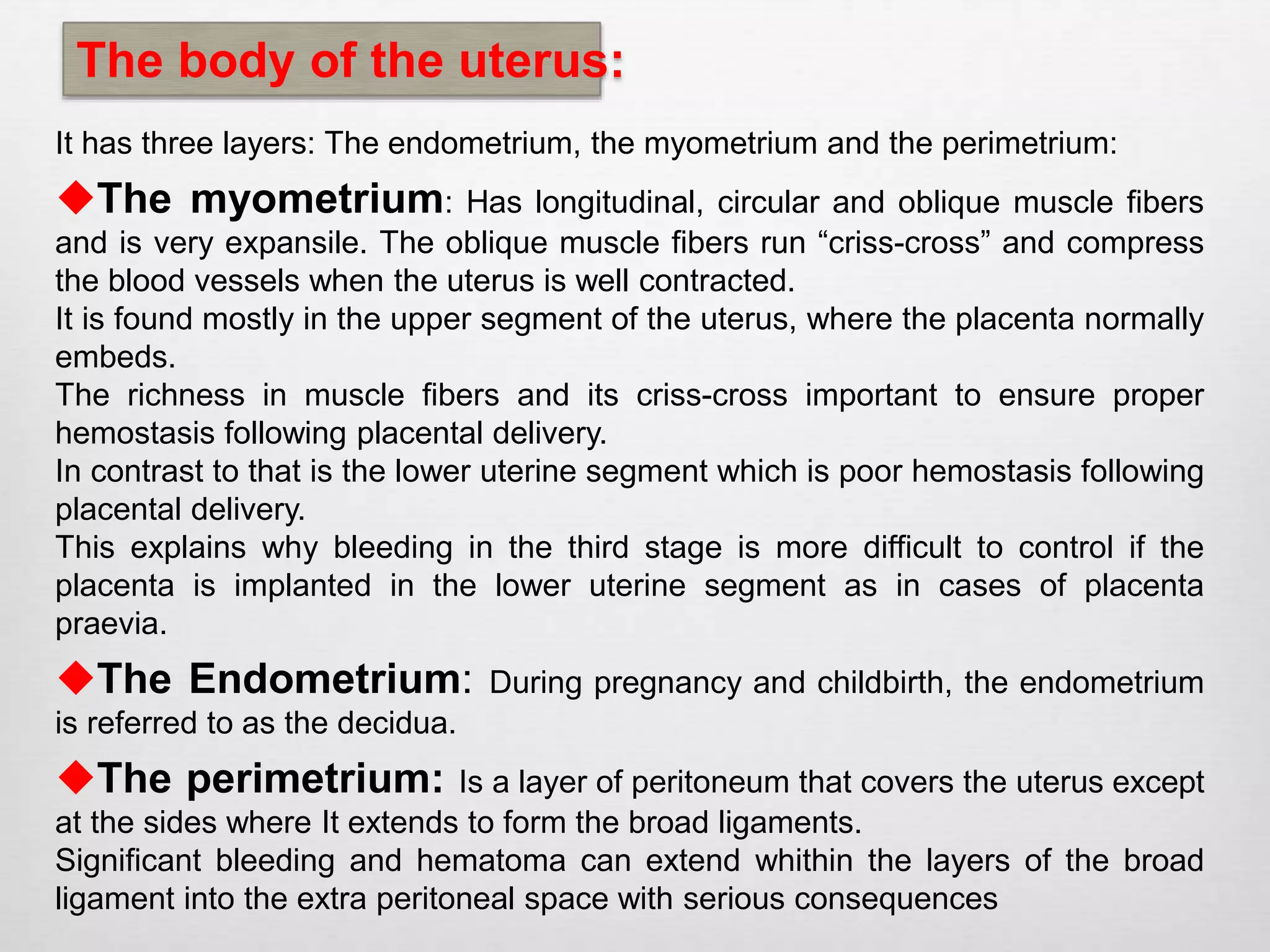 1 chapter 1 applied clinical obstetric anatomy | PPTX