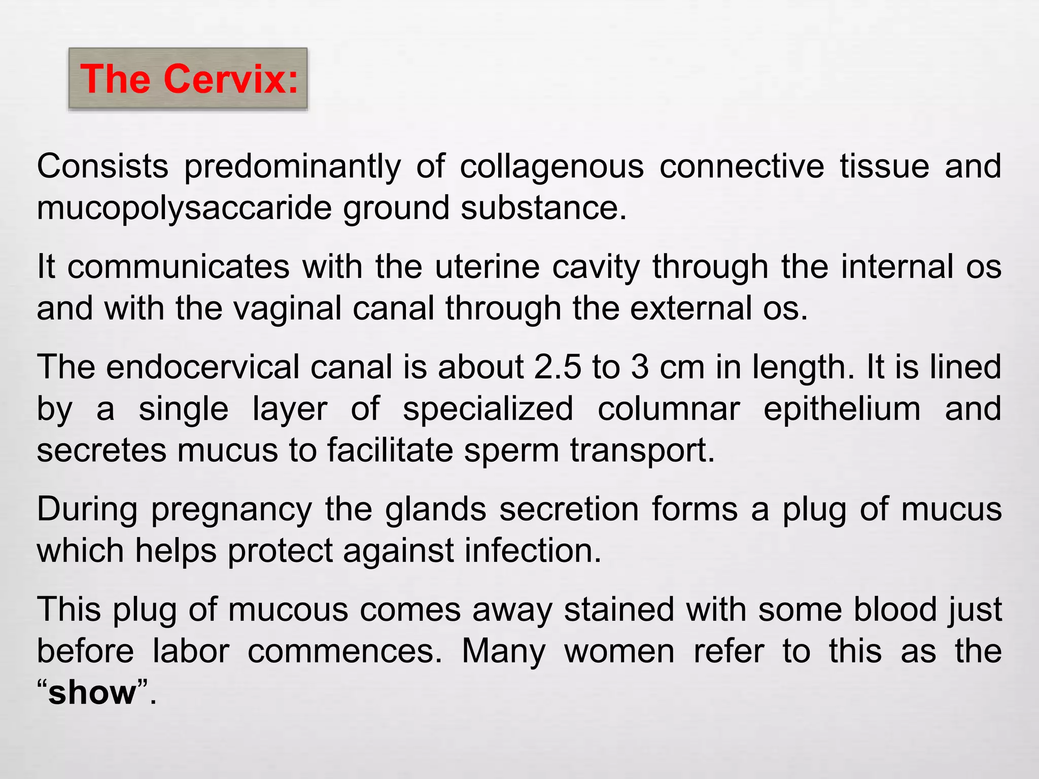 1 chapter 1 applied clinical obstetric anatomy | PPTX