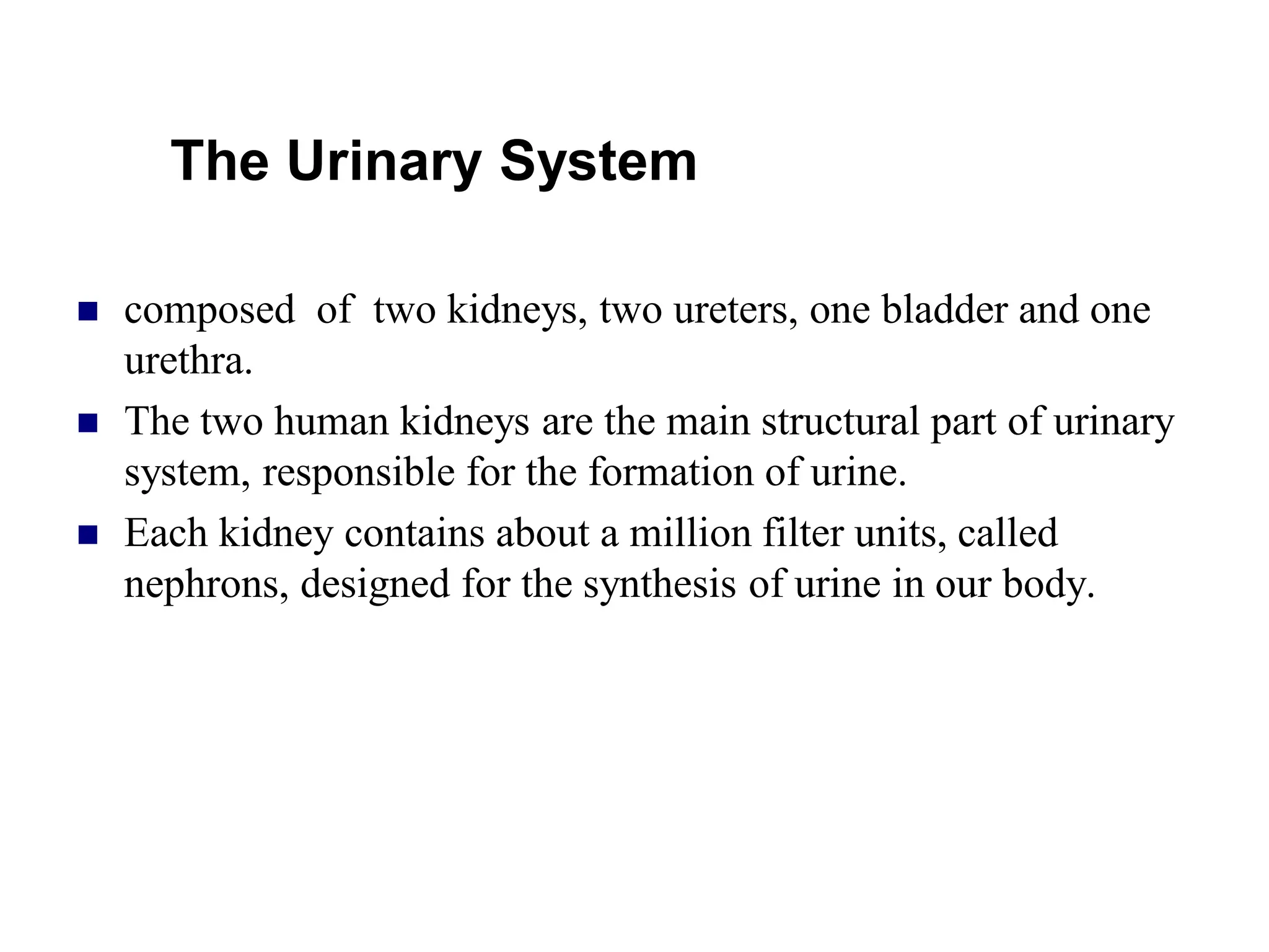 1 Chapter one _ Anatomy and Physiology of Urinary Systems_compressed (1 ...