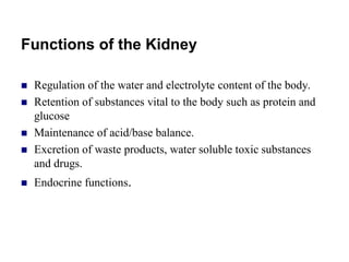 1 Chapter one _ Anatomy and Physiology of Urinary Systems_compressed (1 ...