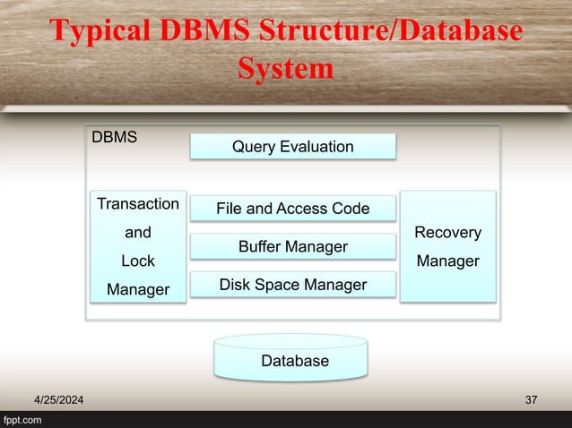 1_Chapter_One_Introduction_to_Database_Management_System_2.ppt