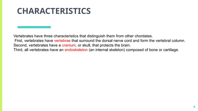 1) characters of vertebrates biology.pptx