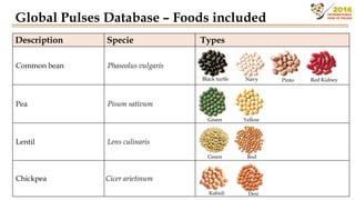 FAO/INFOODS Global Food Composition Database for Pulses | PDF