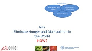 FAO/INFOODS Global Food Composition Database for Pulses | PDF