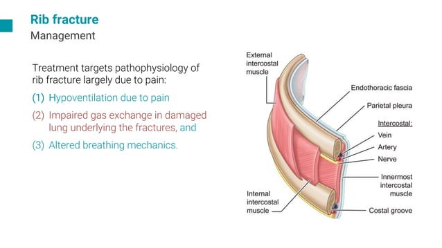 A discription of chest wall trauma in a clinical setting | PPT
