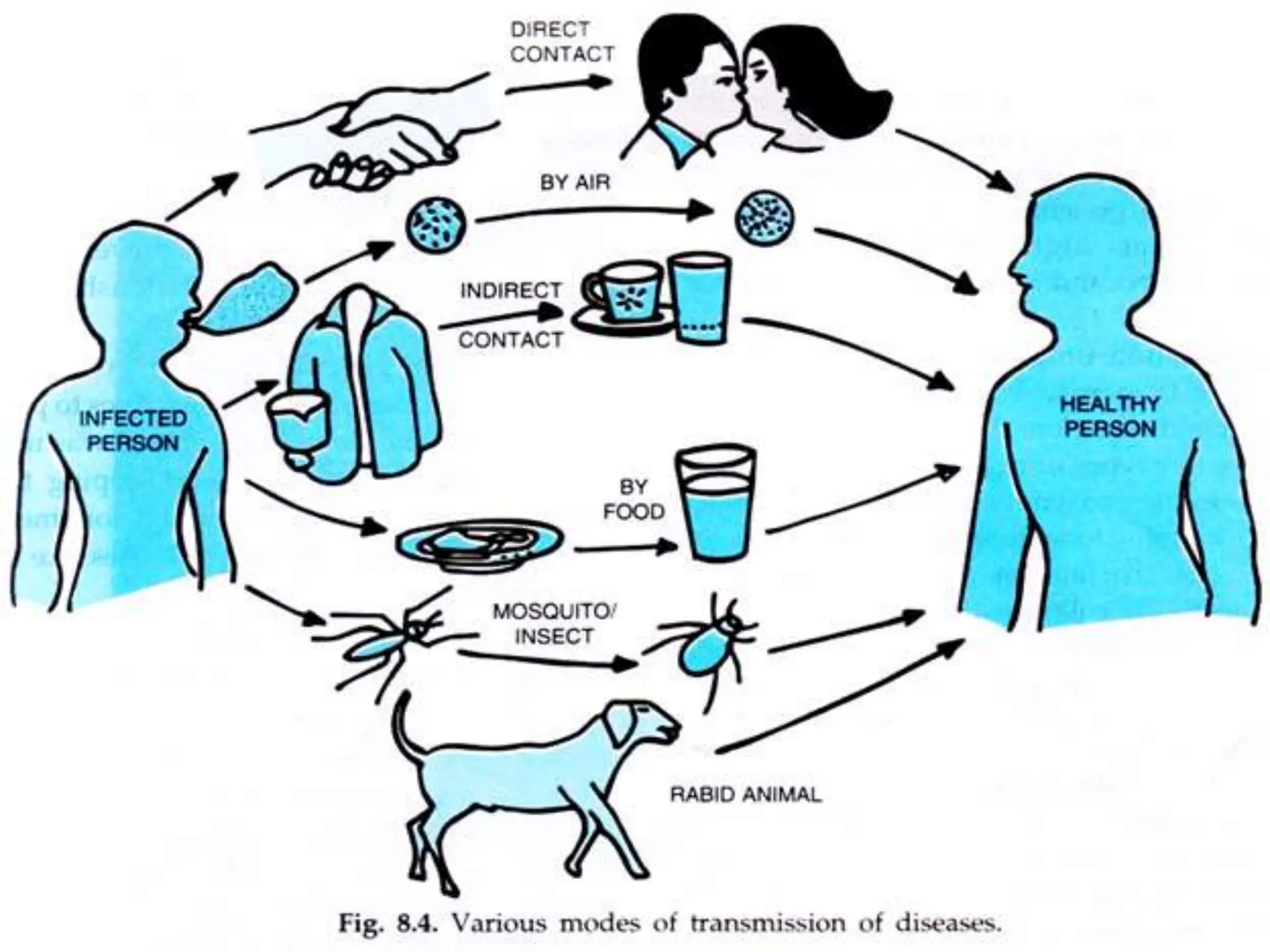 Prevention and control of Chickenpox.pptx