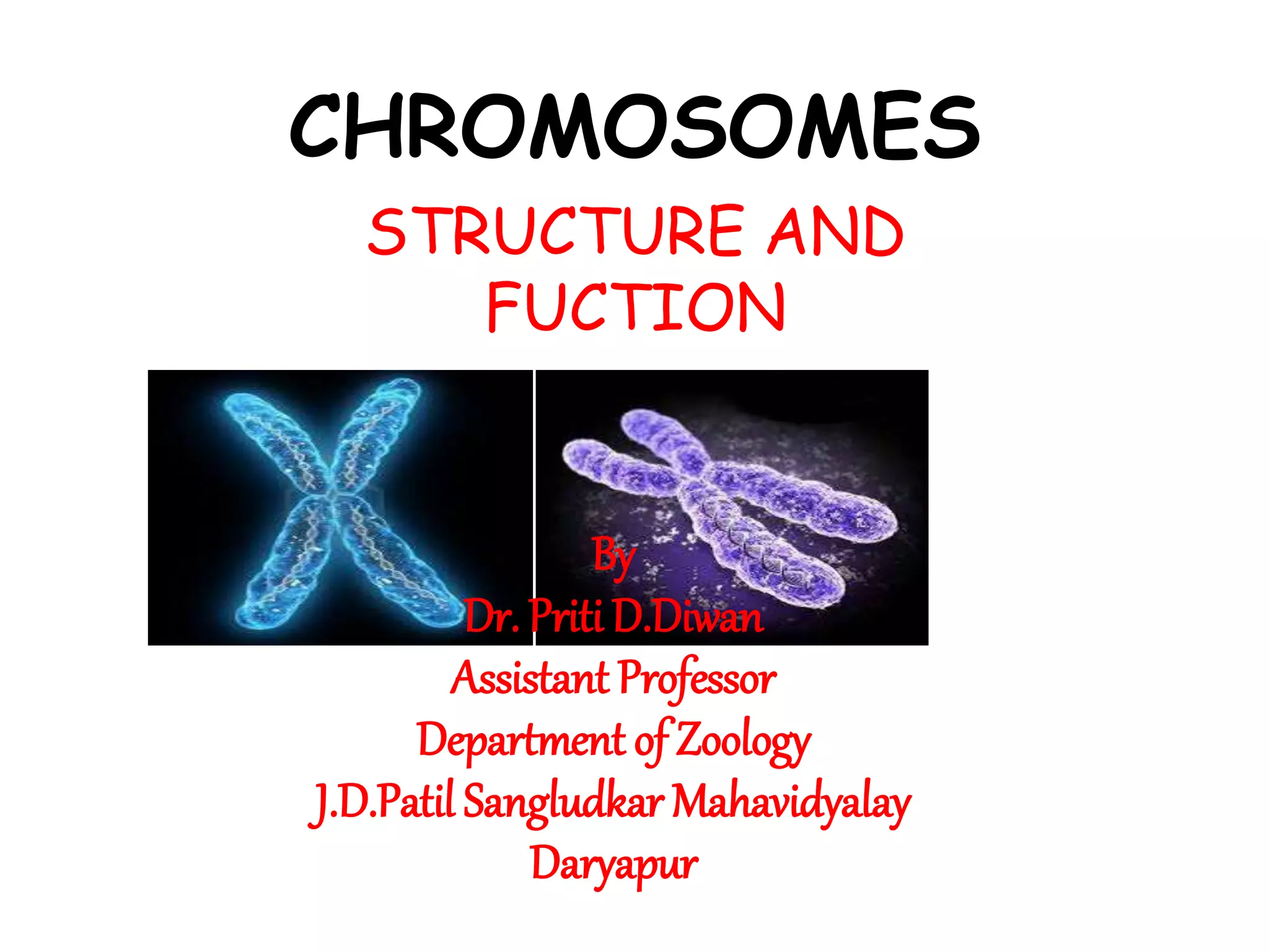 1chromosome STRUCTURE AND FUNCTION | PPTX