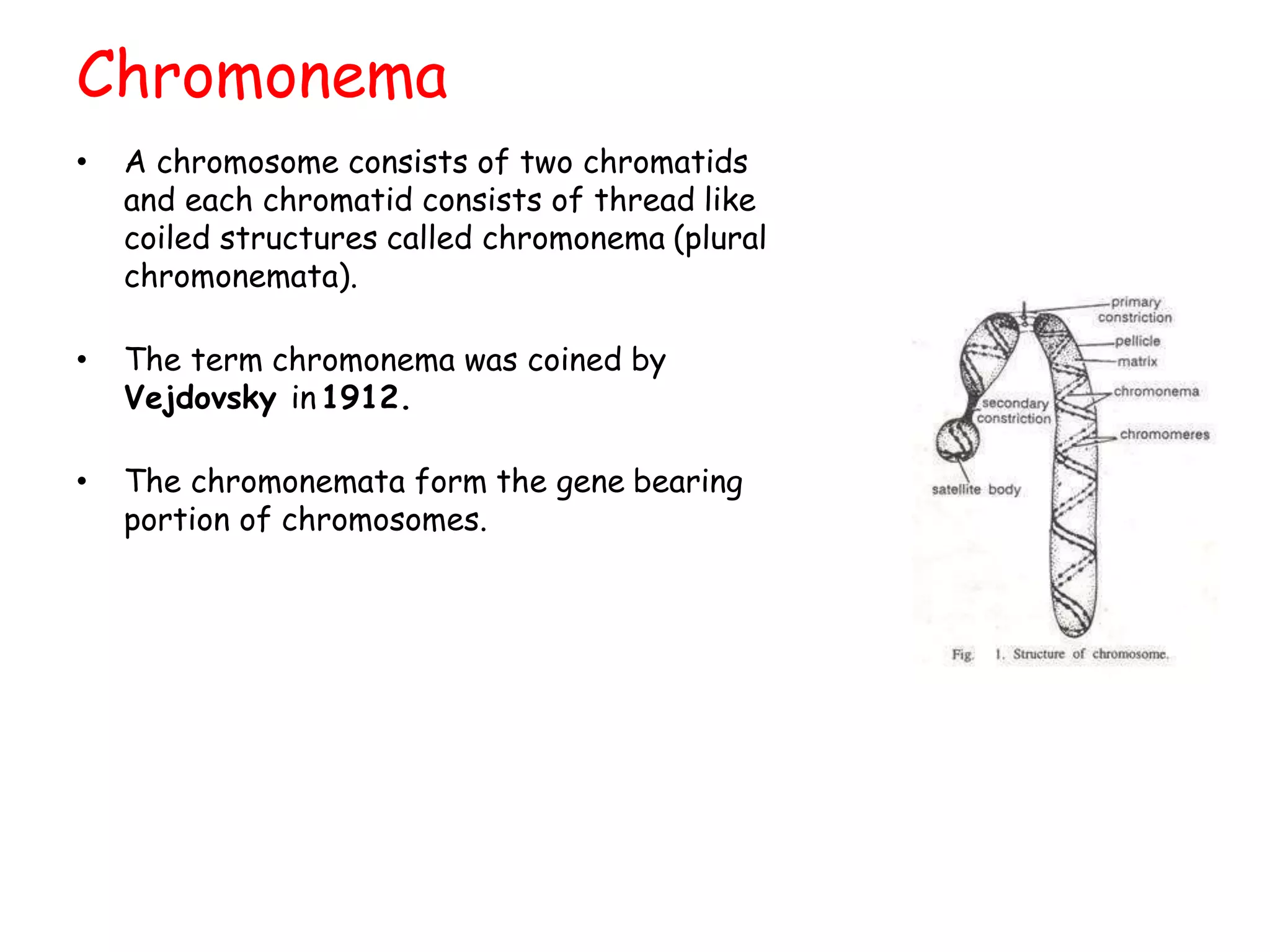 1chromosome STRUCTURE AND FUNCTION | PPTX
