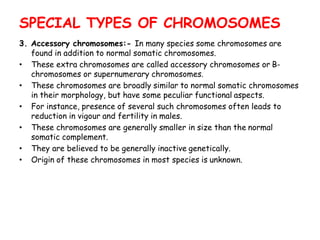 1chromosome STRUCTURE AND FUNCTION | PPTX