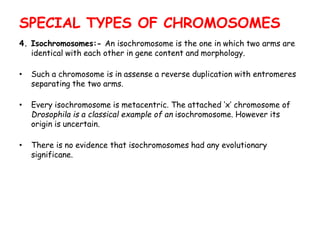 1chromosome STRUCTURE AND FUNCTION | PPTX