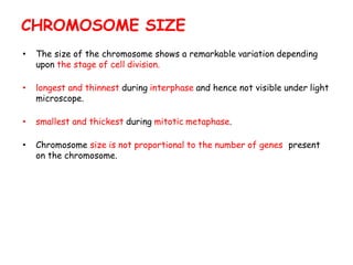 1chromosome STRUCTURE AND FUNCTION | PPTX