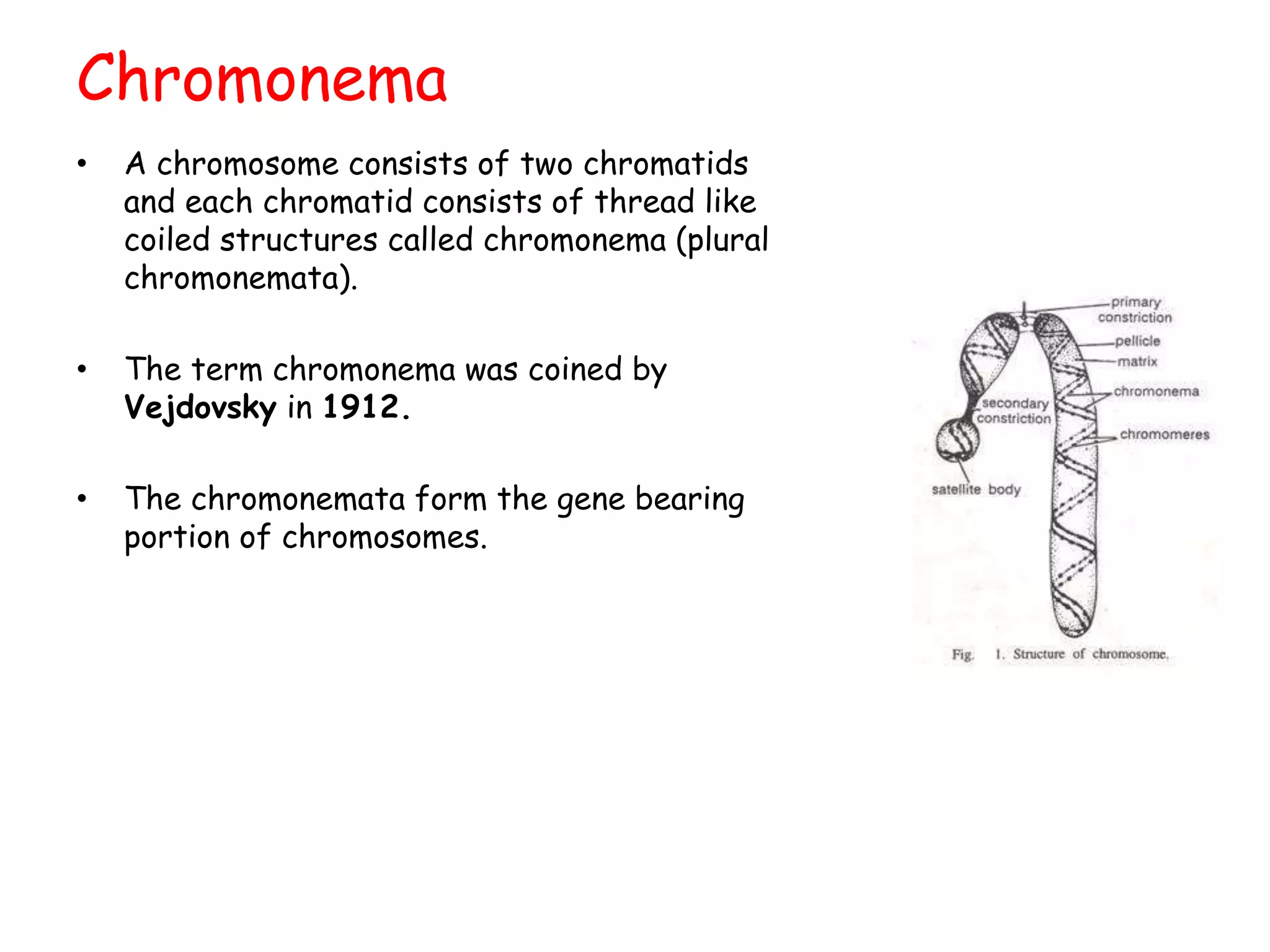 Chromosome Structure & Function | PPTX