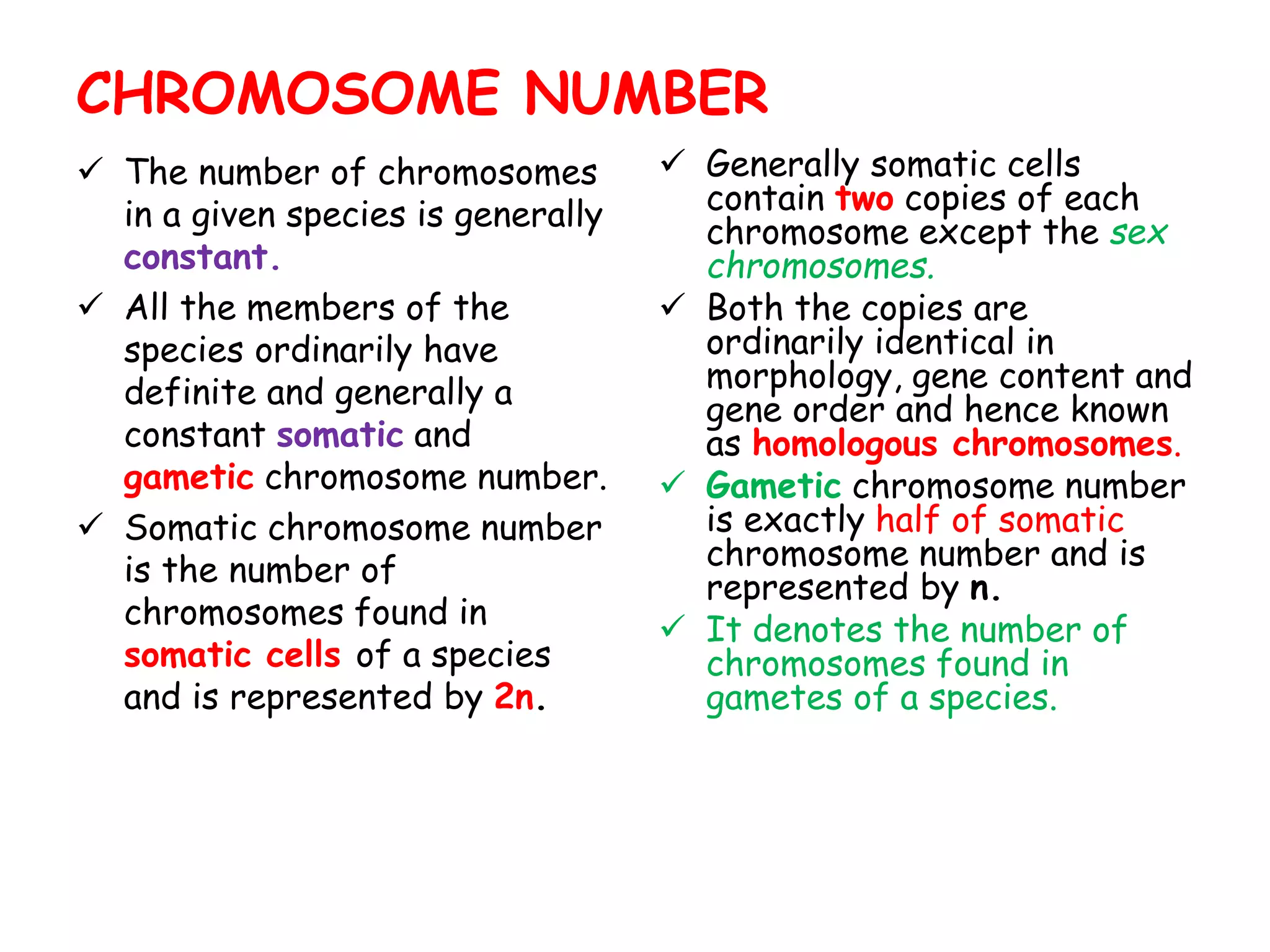 Chromosome Structure & Function | PPTX