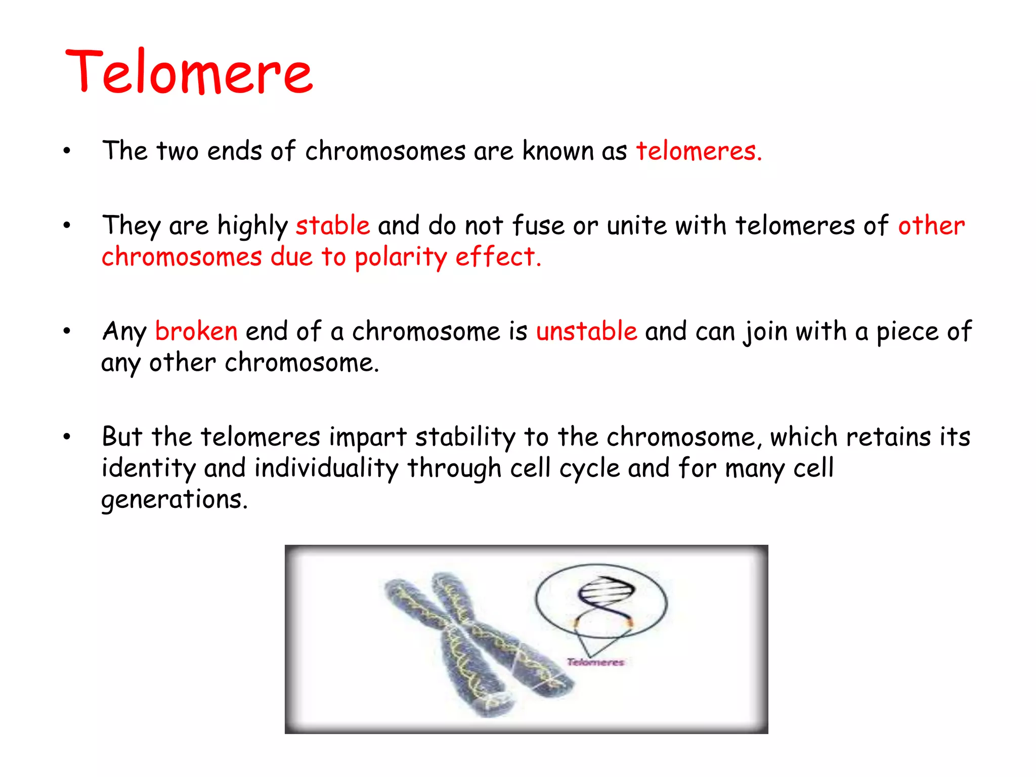 Chromosome Structure & Function | PPTX