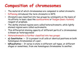 Chromosome Structure & Function | PPTX