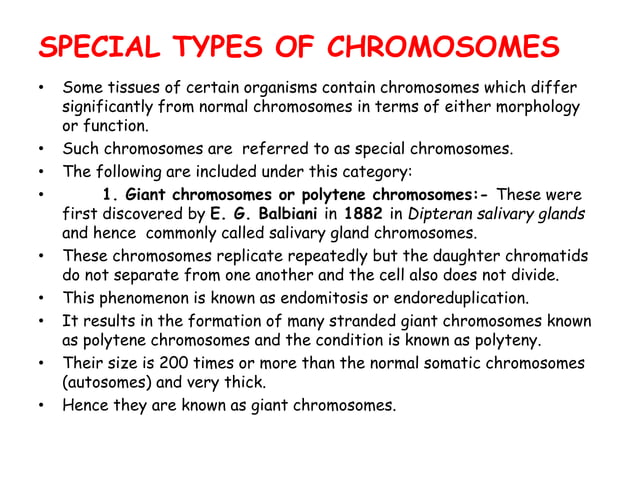 Chromosome Structure & Function | PPTX | Genetics | Science