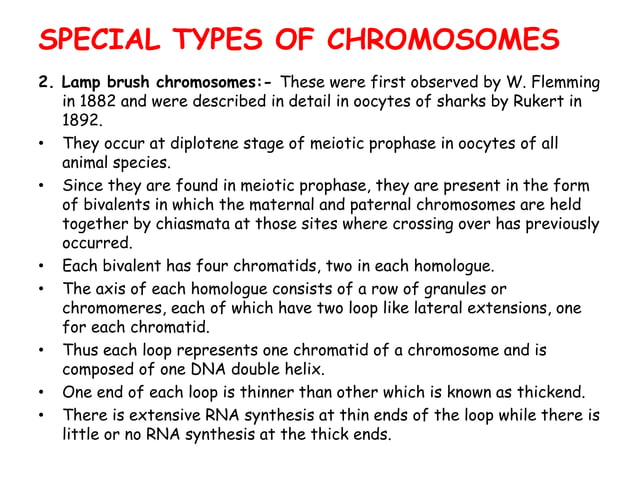Chromosome Structure And Function Pptx Genetics Science
