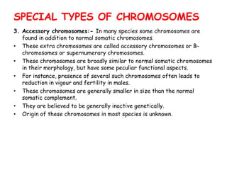 Chromosome Structure & Function | PPTX