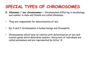 Chromosome Structure & Function | PPTX