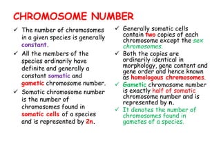Chromosome Structure & Function | PPTX