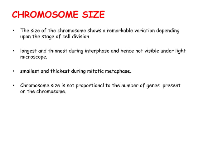 Chromosome Structure & Function | PPTX | Genetics | Science