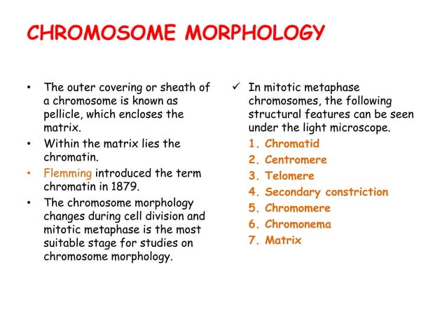 Chromosome Structure & Function | PPTX | Genetics | Science