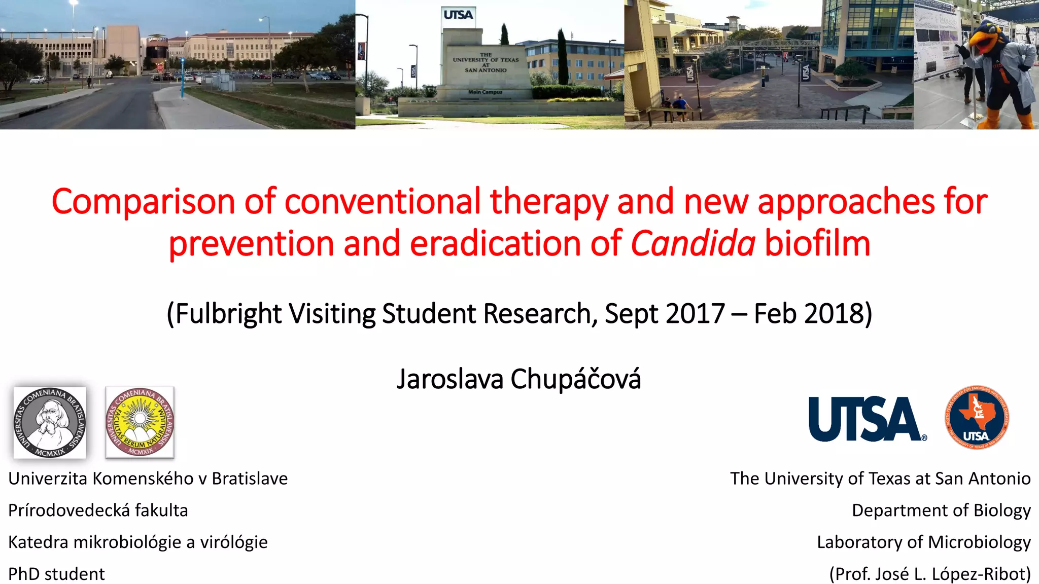 1 chupacova fulbright | PDF