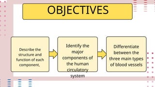 1 CIRCULATORY SYSTEM topic grade 1 first | PPTX