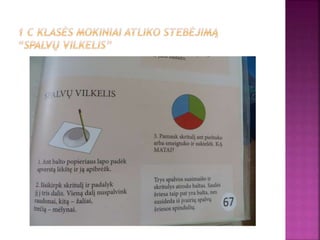 Spalvų vilkelis | PPT