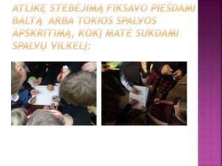 Spalvų vilkelis | PPT