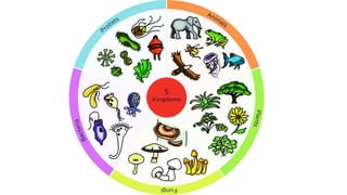 1_clase_introduction_living_organisms.pptx