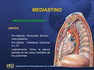 1° clase mediastino | PPTX