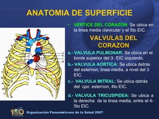 1° clase mediastino | PPTX
