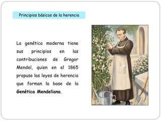 1 Clase Prin básicos de la herencia Mendeliana.pdf