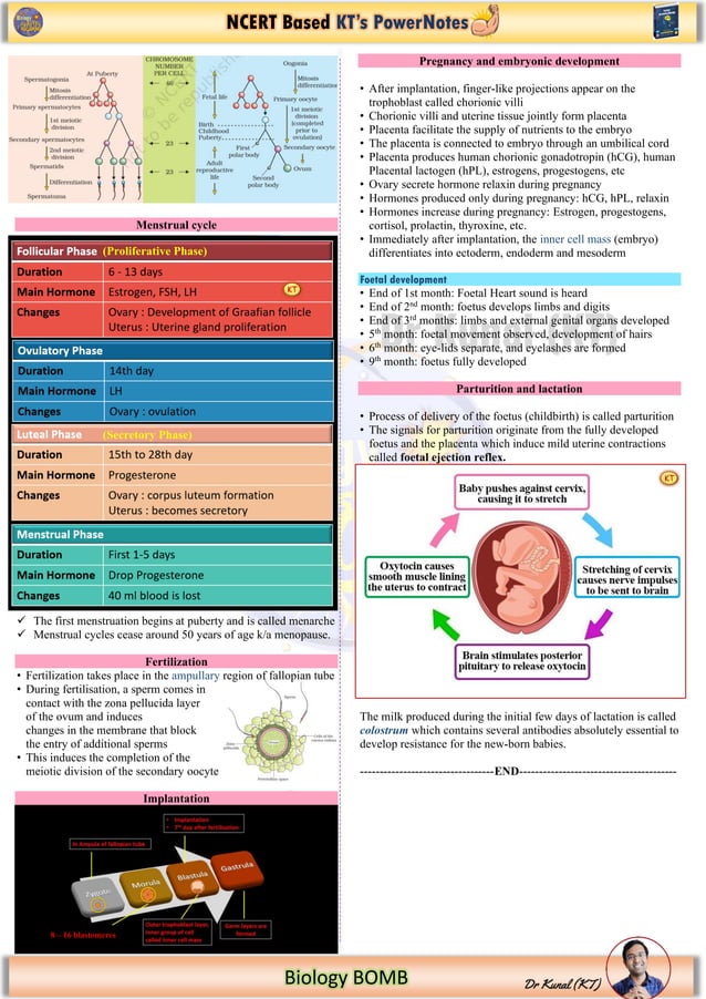 1) Class 12 Bio - MIND MAPS and Power notes - KT sir.pdf