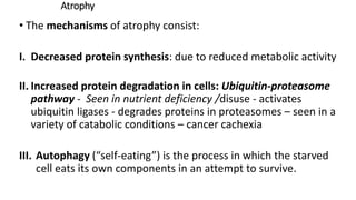 1 Class Cellular Adaptation.pptx