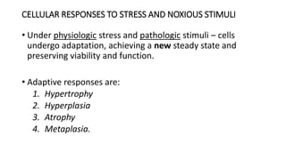 1 Class Cellular Adaptation.pptx