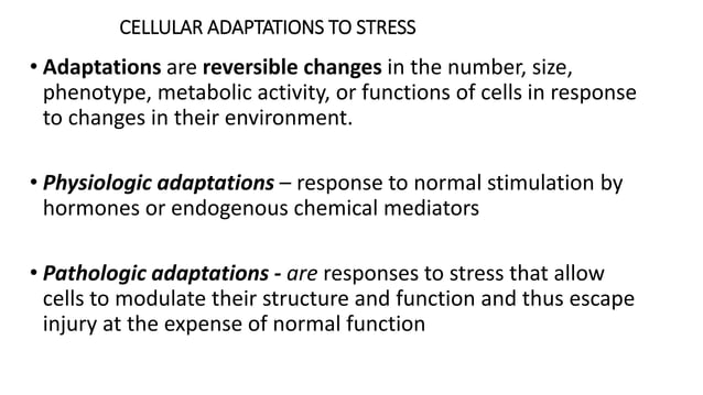 1 Class Cellular Adaptation.pptx