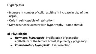 1 Class Cellular Adaptation.pptx