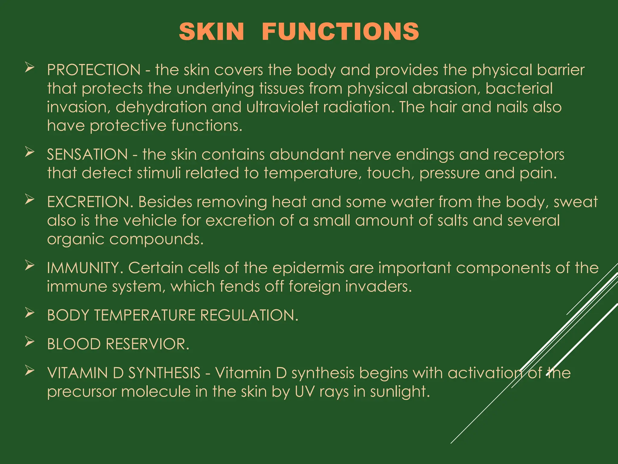 Dermatology and it's tasks skin anatomy .pptx
